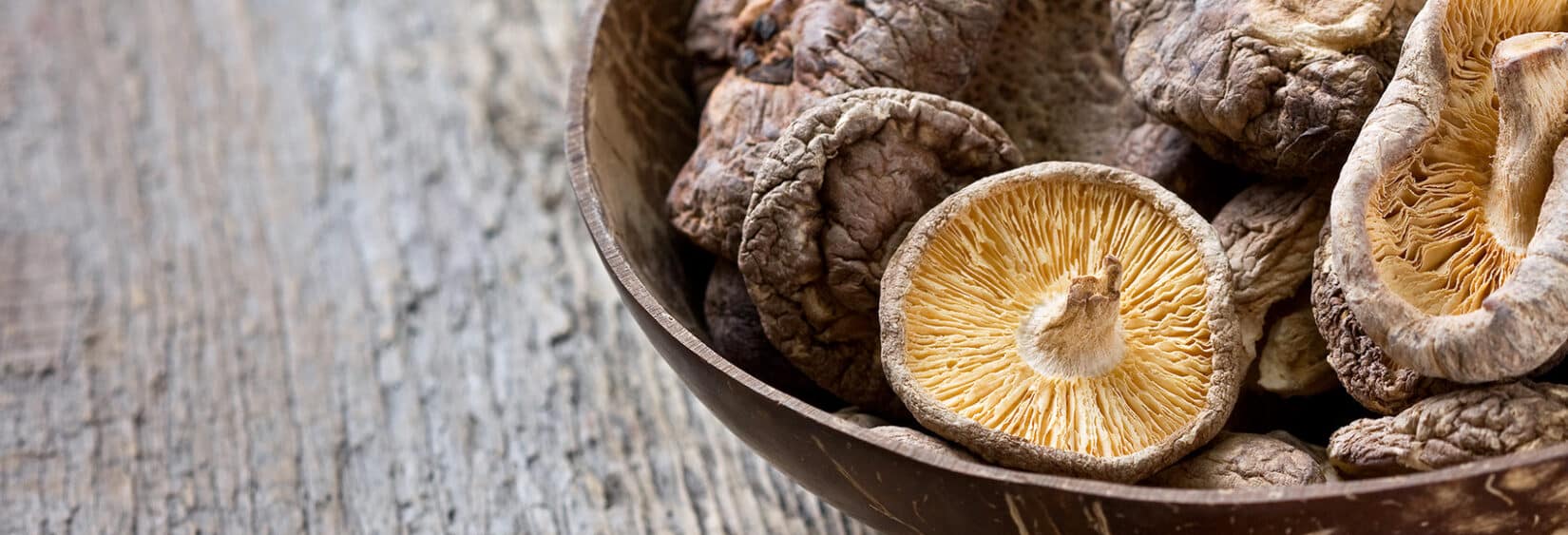 Lentinula edodes. Alla scoperta dello shiitake, uno dei funghi più ...